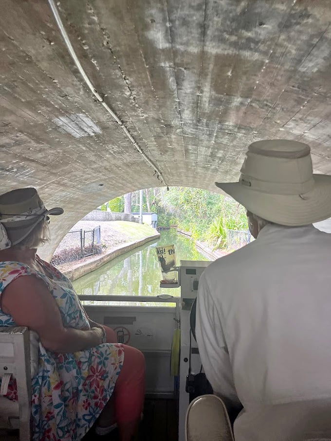 Passage through time: Gliding under this historic stone bridge feels like traveling between worlds, from bustling town to natural sanctuary.