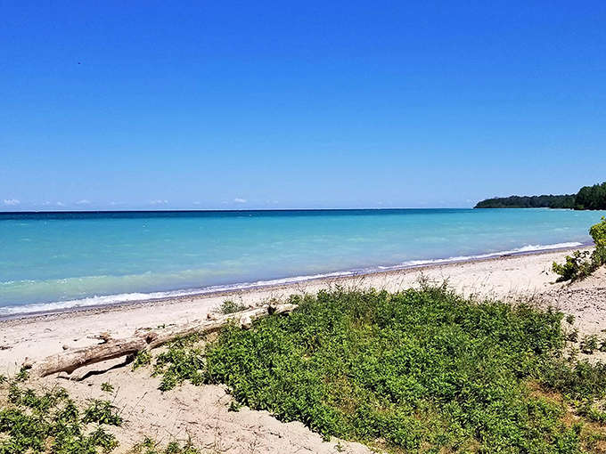Water so turquoise it makes you check your GPS to confirm you're still in Michigan. Spoiler: you are.