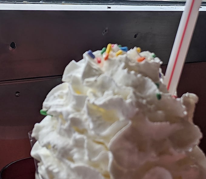 That mountain of whipped cream isn't just for show – it's the fluffy, cloud-like gateway to the creamy paradise waiting below.