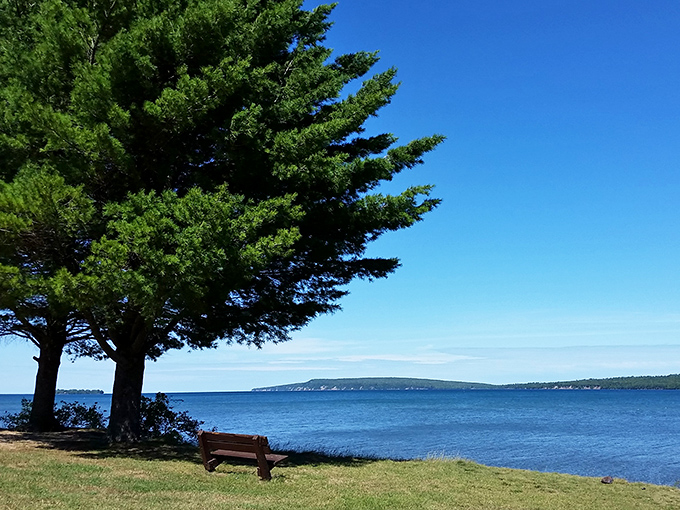Two pines standing sentinel over Lake Superior's vastness &ndash; nature's perfect viewing platform for contemplating life's bigger questions.