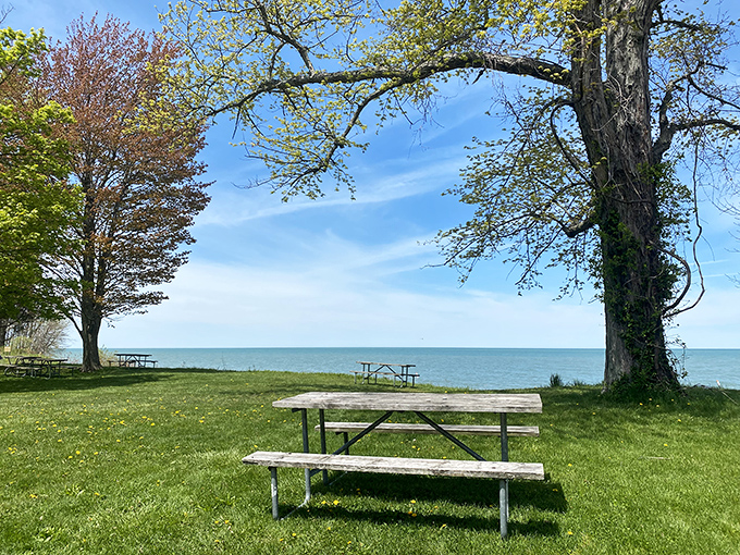 Picnic tables with million-dollar views await your sandwich spread &ndash; no reservation required, just timing and a little luck.