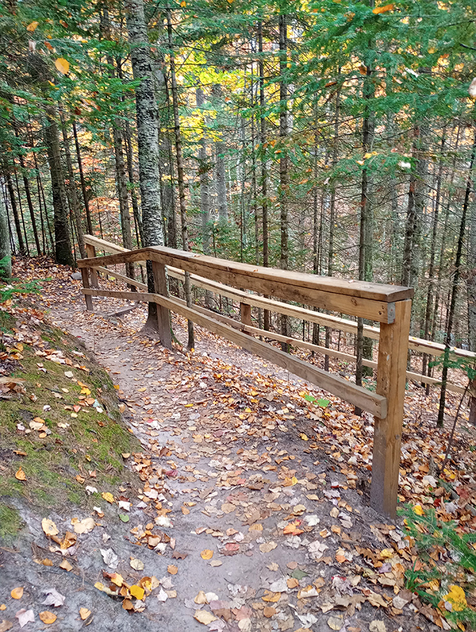 Fall's golden tapestry transforms the path into a yellow brick road, leading wanderers through Wisconsin's enchanted northwoods.