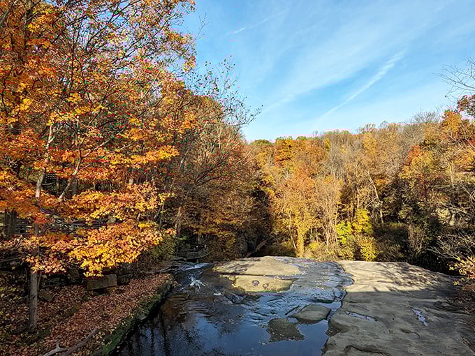 Autumn paints Brandywine Creek with a masterful brush, turning ordinary rocks into golden stepping stones through time.