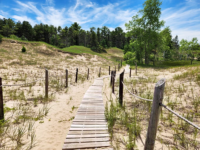 Winter transforms the dunes into a snow-dusted wonderland where even dogs pause to appreciate the view.