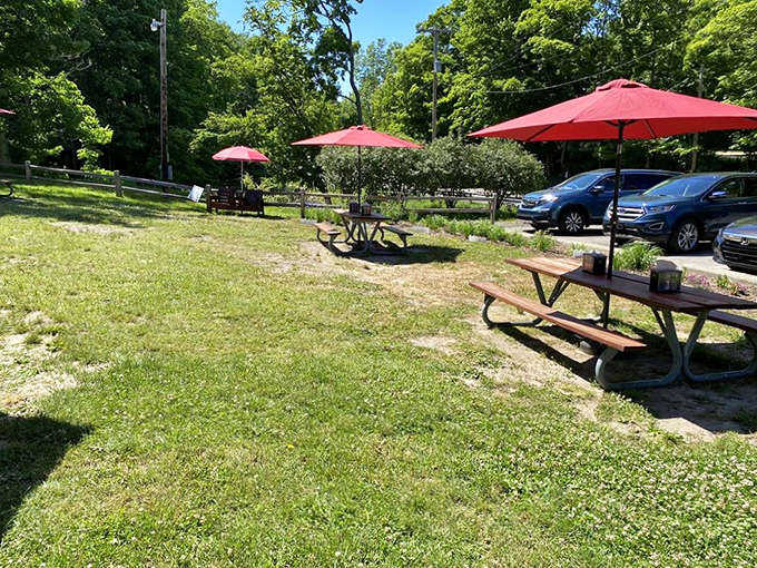 Red umbrellas dot the landscape like poppies, shading picnic tables where families gather to enjoy their barrel-sourced treasures.