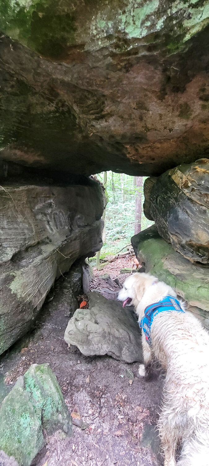 Even four-legged adventurers find joy exploring the rocky passages, their curiosity matching our own in this natural playground.