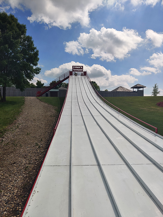 Giant hill slide: A slope of pure joy where gravity becomes your best friend and worst enemy simultaneously.