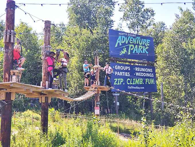 The communal platforms become gathering spots for shared triumphs and friendly encouragement between aerial adventures.