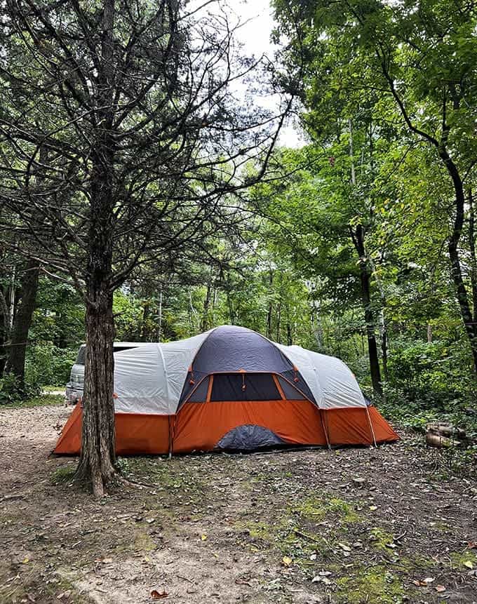 Home sweet temporary home! This campsite nestled among the pines offers five-billion-star accommodations under Minnesota's night sky.