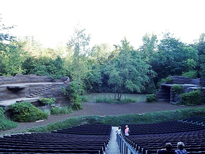 Live outdoor theater that makes you wonder why anyone bothers with indoor venues when nature provides the perfect backdrop.