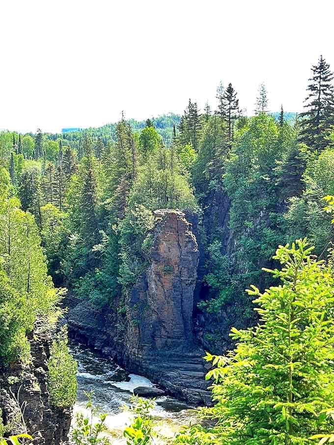Where wilderness whispers secrets: The lush northern forest surrounding High Falls creates a verdant sanctuary teeming with wildlife and wonder.