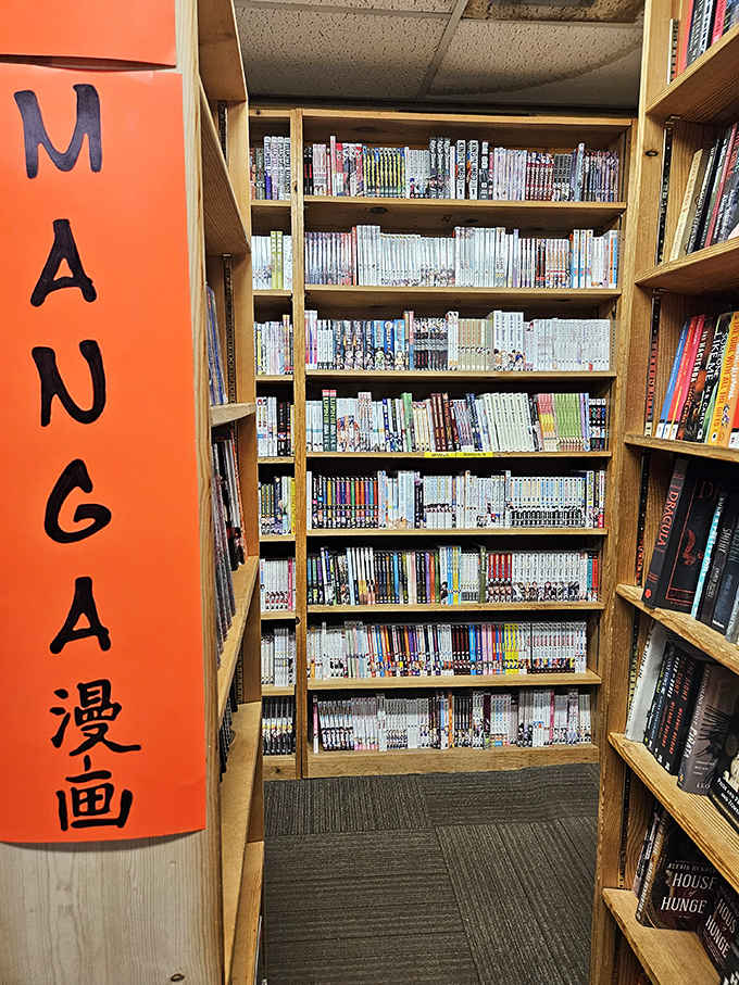 Colorful Japanese comics create their own vibrant universe within the store, drawing in readers with bold artwork and stories.