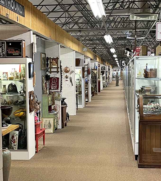 Walking these aisles feels like exploring the set of a period film where every prop has authentic character and history.