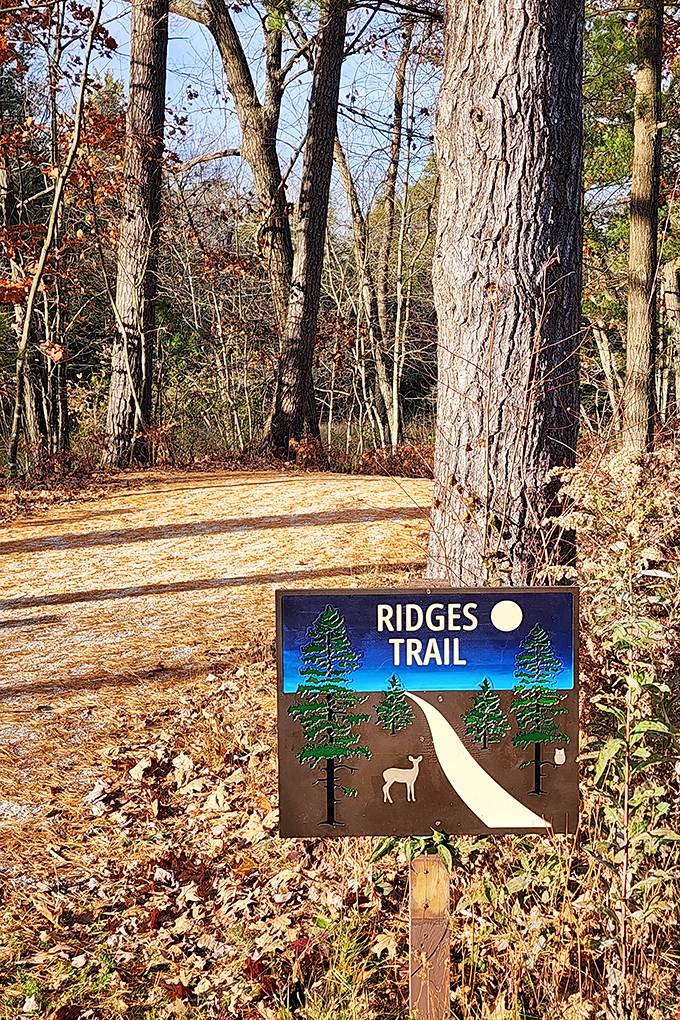 The Ridges Trail sign promises adventure through ancient sand dunes, with a bonus deer illustration for woodland credibility.