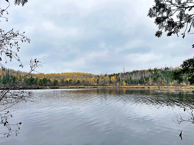 The calm river belies its journey ahead, where it will eventually tumble dramatically over Bridal Falls after this peaceful stretch.