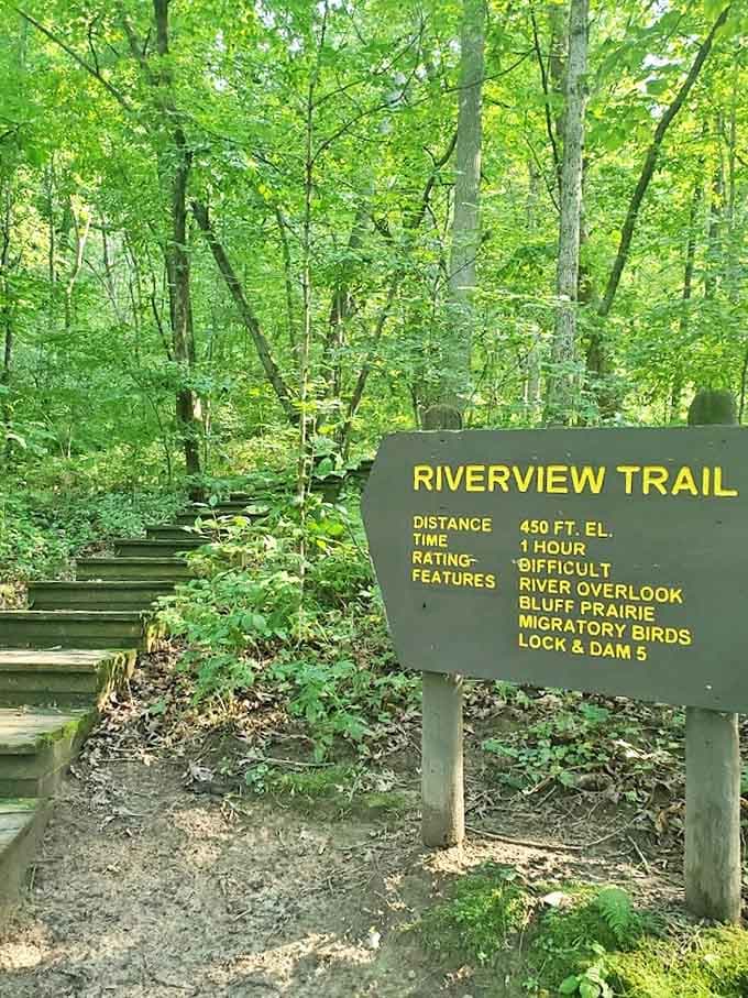 The Riverview Trail sign promises difficulty but delivers magic &ndash; 450 feet of elevation and endless opportunities for wonder.