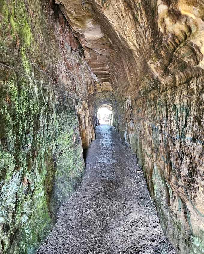 The tunnel's interior reveals nature's patient artistry&mdash;water and time collaborating on a masterpiece millions of years in the making.