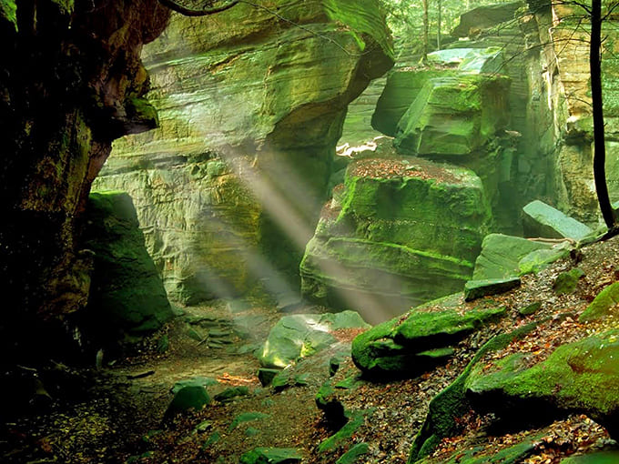 Mother Nature's sculpture garden, where each masterpiece took thousands of years to perfect. No "Do Not Touch" signs required.