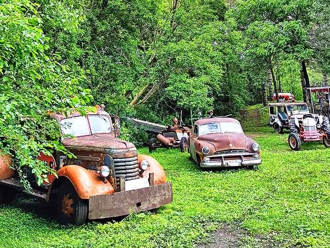 Detroit's finest take their final bow as these vintage automobiles rest peacefully, slowly returning to the earth that yielded their metal.
