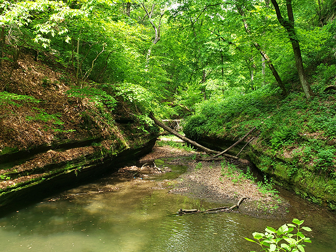 The gentle current creates nature's own meditation app – just add water, rocks, and the absence of cell service.