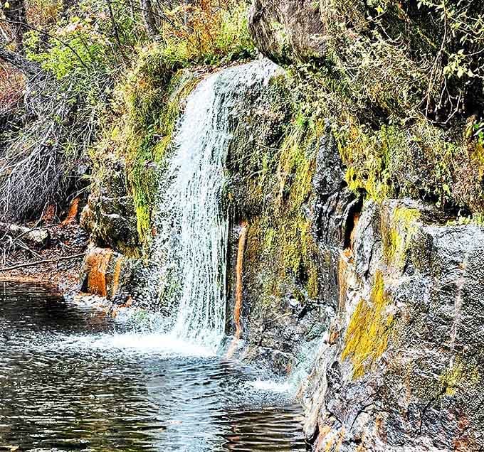 Water meets rock in a timeless dance, creating that soothing white noise that somehow makes your thoughts both clearer and less urgent.