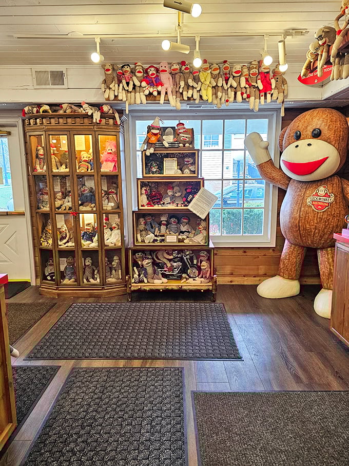 Every nook and cranny holds another sock surprise – display cases showcase rare specimens alongside everyday monkey friends.