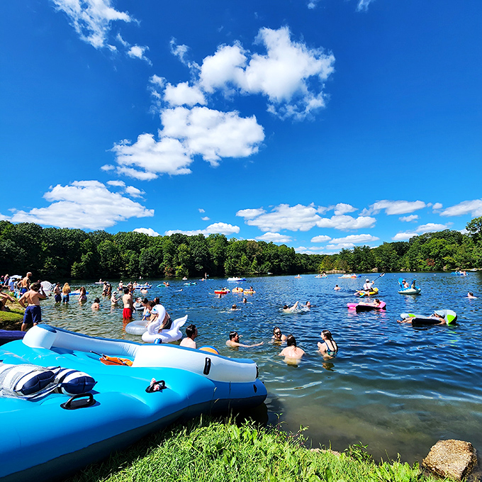 The unofficial summer Olympics of relaxation: floating, splashing, and perfecting the art of doing absolutely nothing productive.