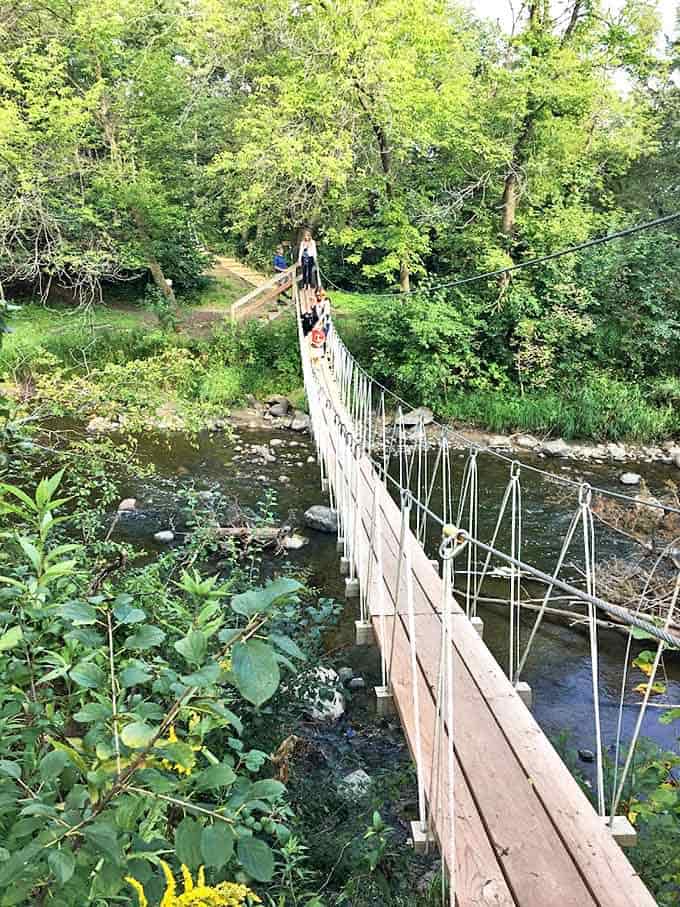 This swaying footbridge offers a moment of relative calm between adrenaline rushes &ndash; and spectacular views for those brave enough to look down.