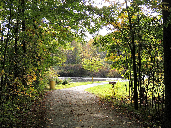 Trails wind through the park like someone designed them specifically for peaceful contemplation and avoiding your responsibilities.