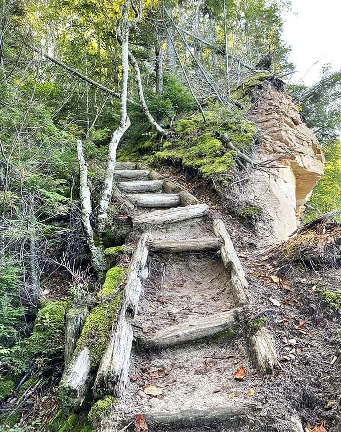Nature's staircase: Rustic wooden steps climb through moss-covered terrain, leading hikers deeper into the pristine wilderness surrounding Spray Falls.