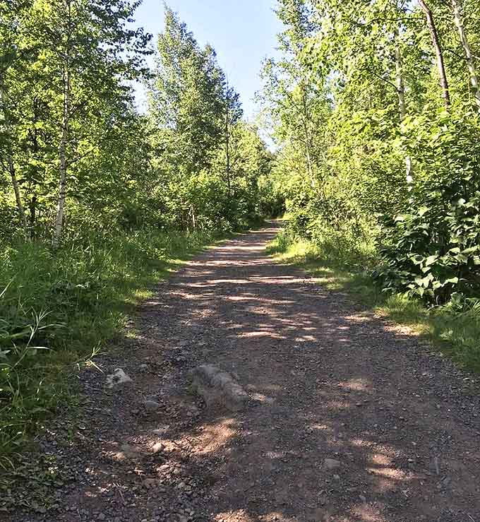 The trail beckons through a corridor of greenery, promising adventures that your couch never could. Sorry, Netflix.