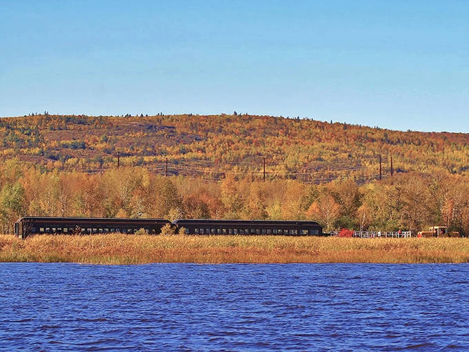 Fall's golden hillside creates a stunning backdrop as the train follows the shoreline, offering passengers front-row seats to autumn's show.