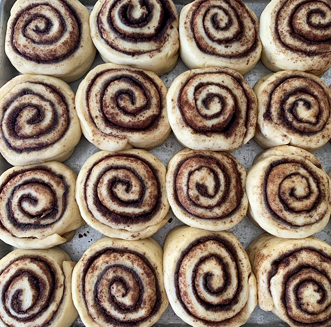 A behind-the-scenes glimpse at tomorrow's happiness &ndash; unbaked cinnamon rolls waiting for their transformative journey through the oven's warm embrace.