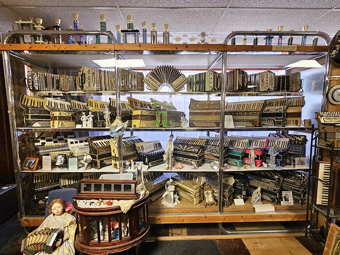 Shelf after shelf of accordion history &ndash; each instrument with its own story to tell about immigration, celebration, and musical tradition.