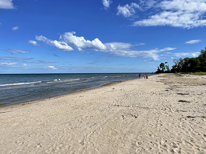 The pristine white sand here rivals any tropical beach, proving Wisconsin knows how to do shorelines right.
