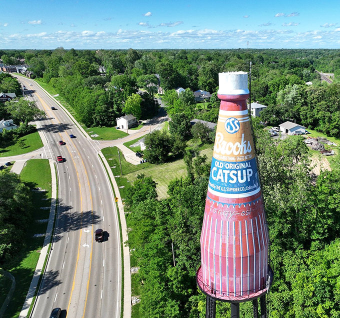 Bird's eye view of America's favorite condiment! The 170-foot Brooks Catsup Bottle towers majestically over Collinsville's green landscape.