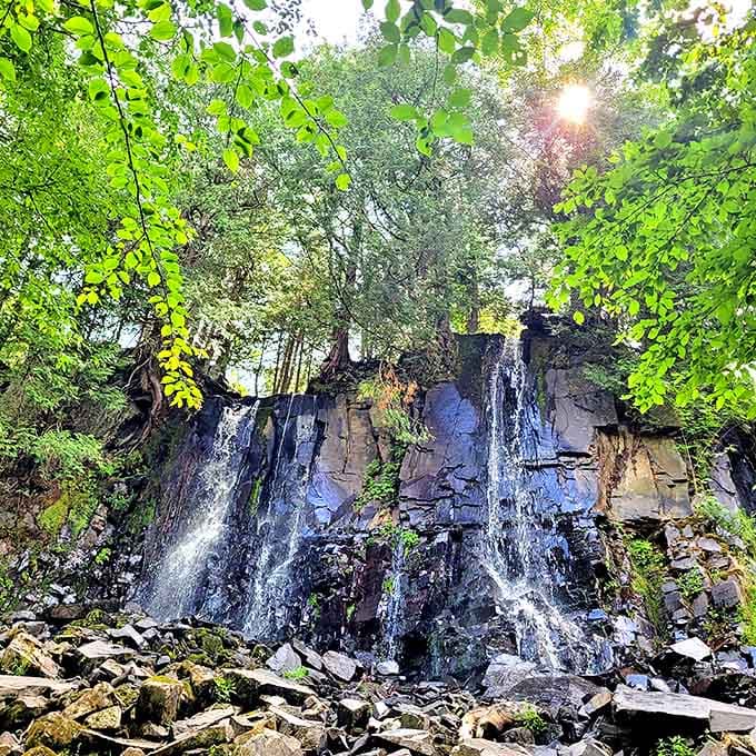 Sunlight plays peek-a-boo through the canopy, illuminating falling water that's been performing this same show for centuries.