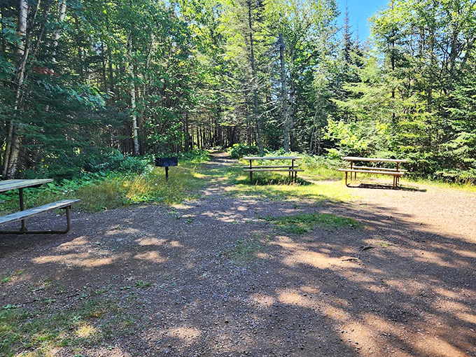 Benches: These picnic spots offer a perfect resting place after conquering those 200+ stairs, surrounded by the whispers of pine trees.