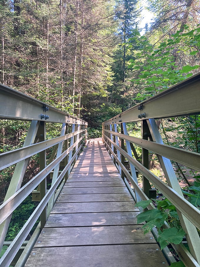 Modern engineering meets timeless wilderness as this sturdy bridge carries hikers across one of the trail's many picturesque stream crossings.