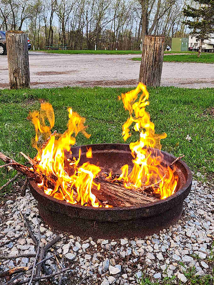 Primal comfort in a modern world &ndash; flames leap skyward as marshmallows await their golden transformation into sticky, sweet memories.