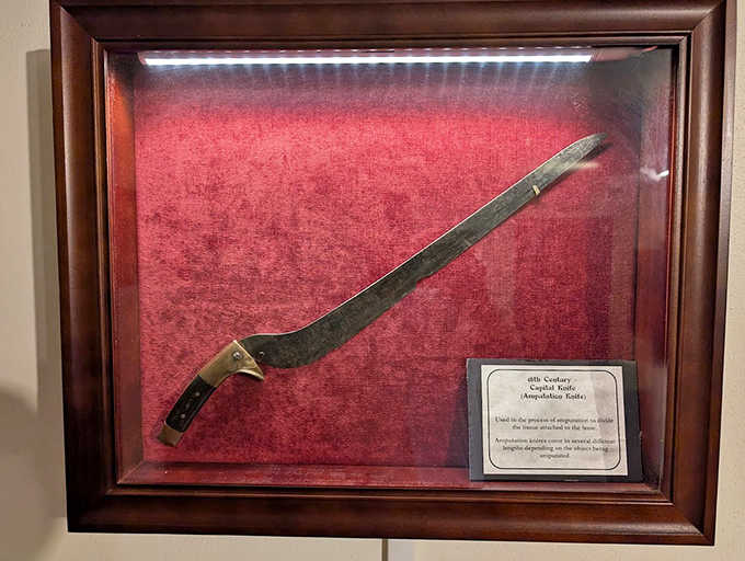 This curved capital knife wasn't for slicing birthday cake&mdash;surgeons prized speed over precision when removing limbs from fully conscious patients!