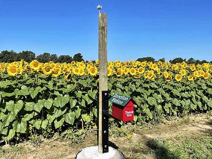The honor system in action &ndash; this simple donation station speaks volumes about the farm's community-minded spirit.