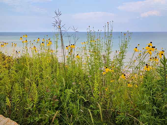 Native wildflowers frame the perfect lake view, adding splashes of color to nature's already impressive canvas.