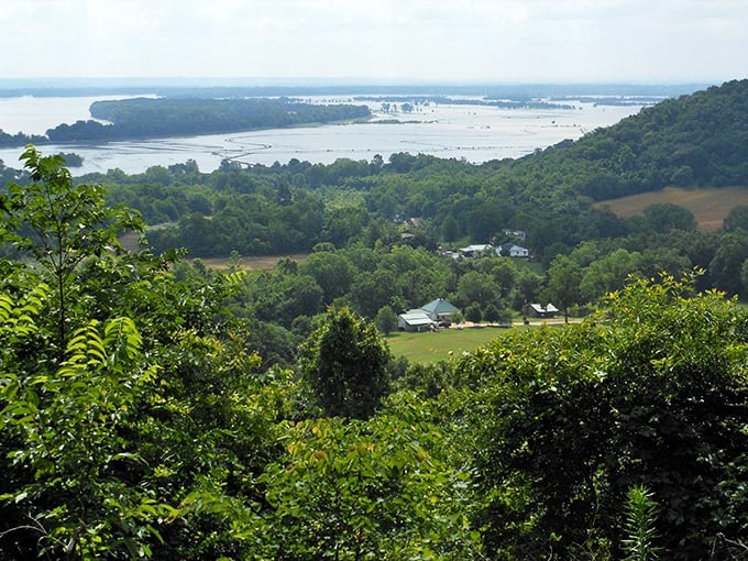 Morning fog dances across the Mississippi's surface, transforming the ordinary into something magical as day breaks.