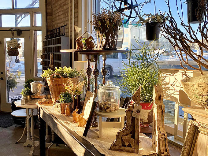 Botanical treasures and rustic elements create vignettes that would make any home decorator swoon &ndash; all at prices that won't break the bank.