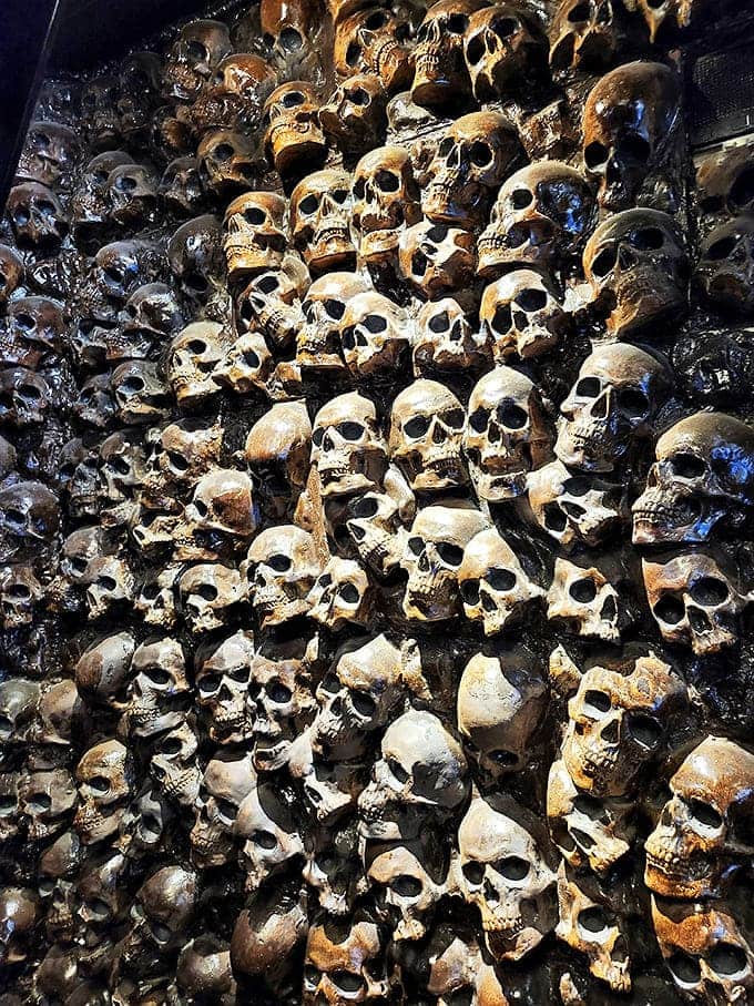 These skull replicas create an atmosphere that's equal parts educational and deeply unsettling, perfect for the museum's overall vibe.