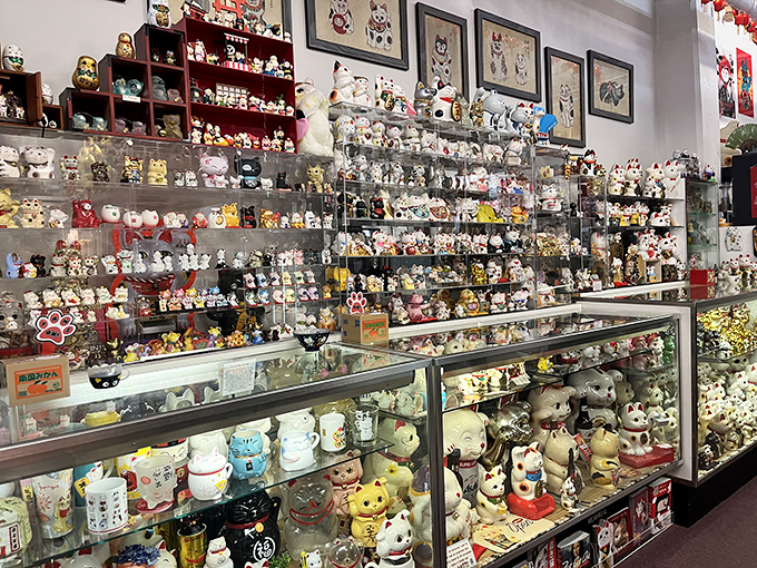 The classic golden Maneki Neko, believed to attract wealth and prosperity, sits among hundreds of variations in this comprehensive collection.