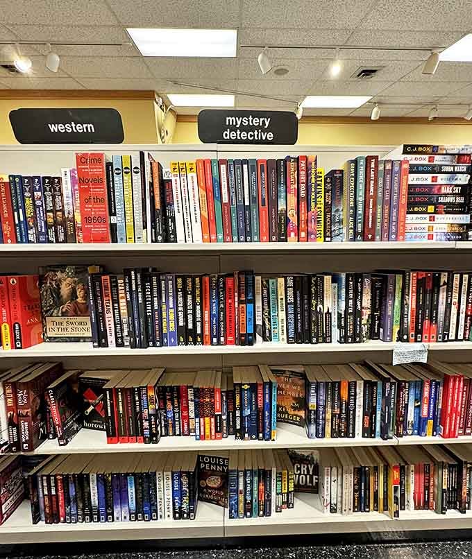 Mystery and detective novels stand in orderly rows, each spine promising the perfect blend of intrigue and satisfaction for armchair sleuths.