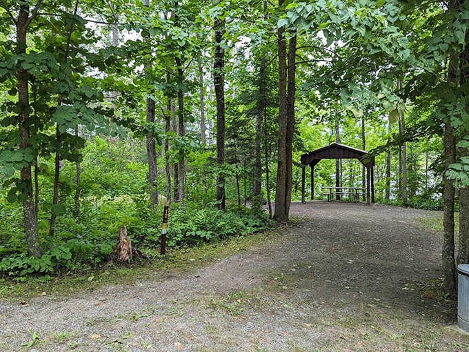 A serene camping spot nestled among towering pines offers the perfect balance of wilderness and comfort for overnight adventurers.