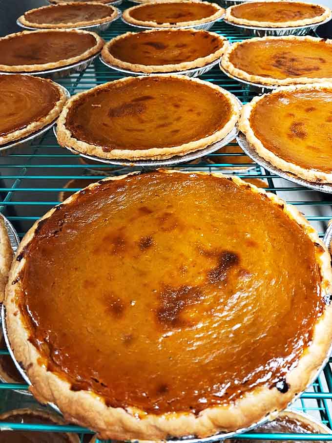 Pumpkin pies lined up like soldiers ready for Thanksgiving battle. That golden-brown perfection didn't happen by accident, folks.